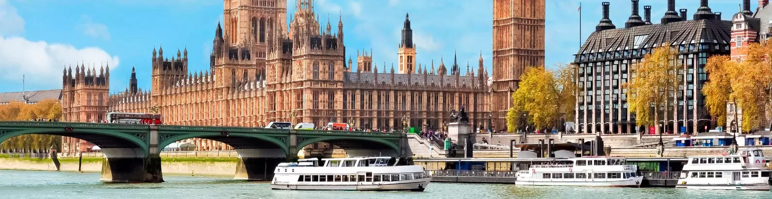Crucero por el Támesis + Hop on Hop off | London City Tour